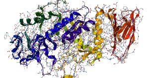 ¿Qué es la amilasa?: funciones, tipos y análisis - Bioreferencia